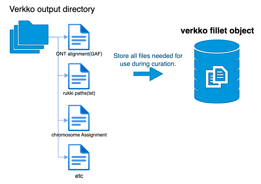 Usage Principles — verkko-fillet